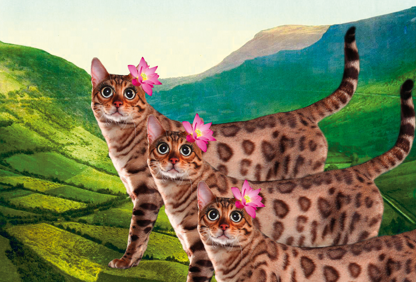 Kunstboer | Children bags, School bags, Kids clothing and more